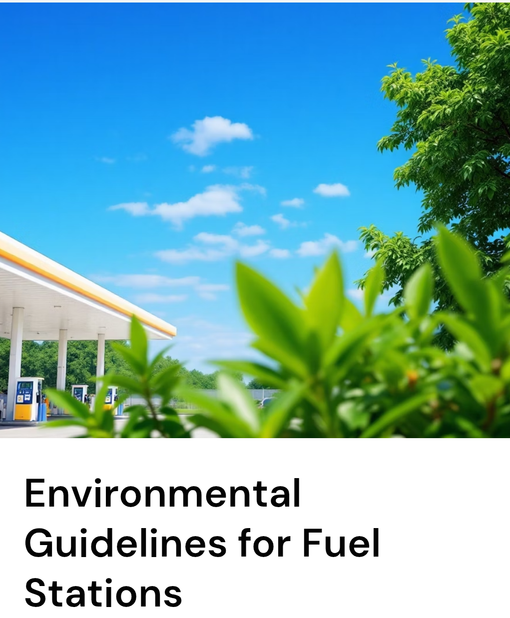 Environmental Guidelines for Fuel Stations Adhering to strict ...
