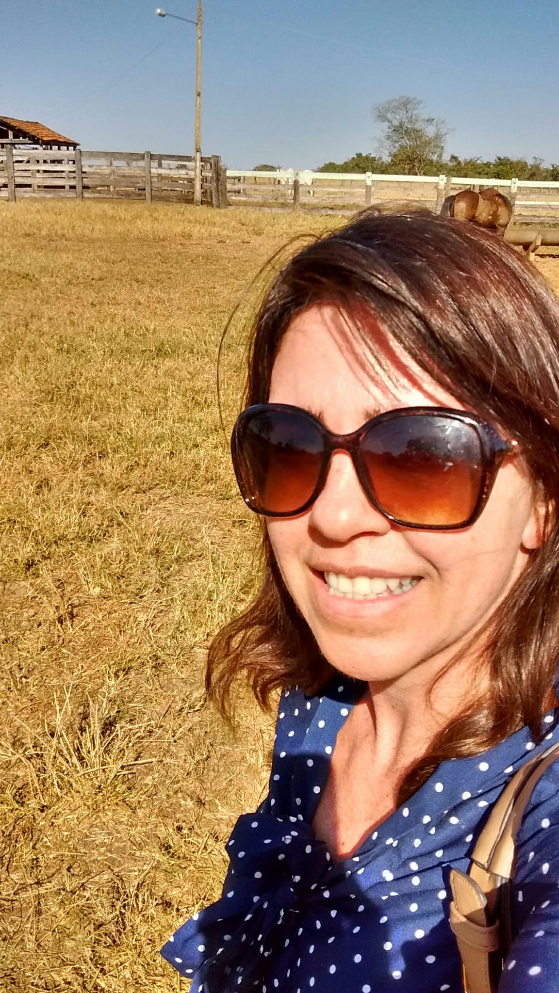 VIDA DA SIMONE DOS 20 AOS 23 ANOS. - Dra. Ma. Simone Moraes | Hotmart