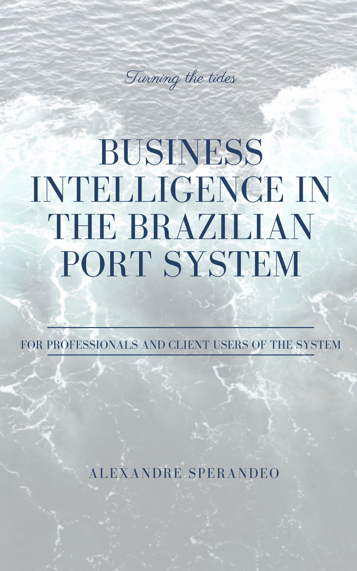 BUSINESS INTELLIGENCE IN THE BRAZILIAN PORT SYSTEM