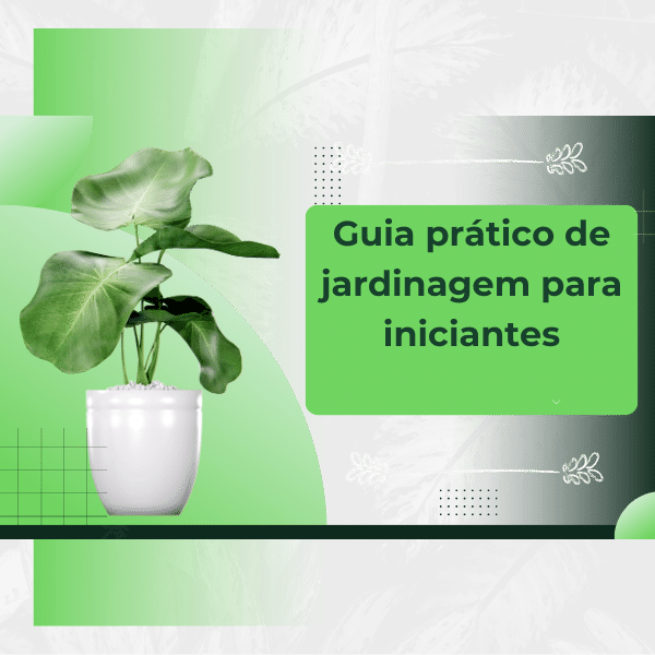 Guia prático de jardinagem para iniciantes - Momo | Hotmart