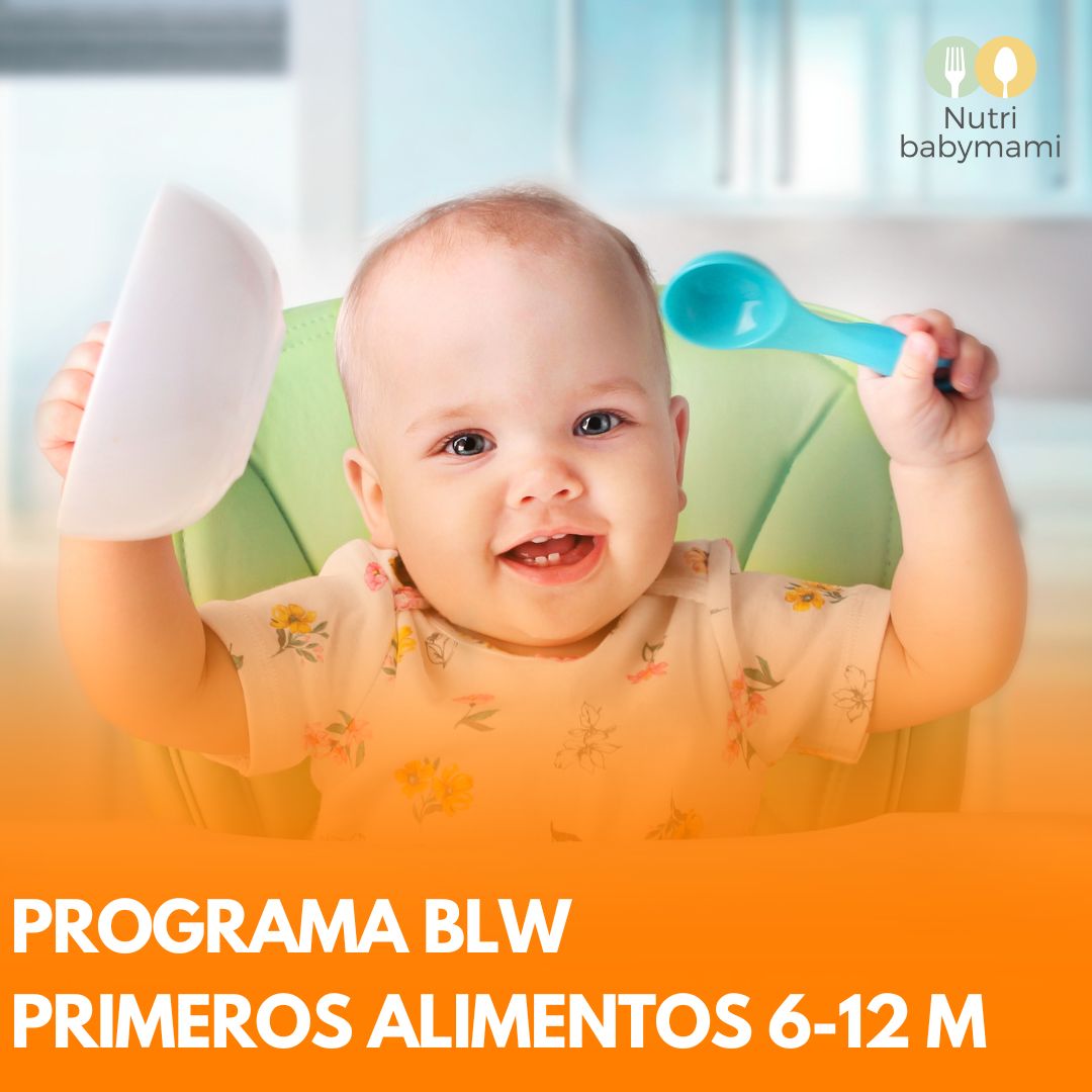 🥑Programa BLW - Primeros Alimentos Sólidos (6-12 meses) - Nutri ba...
