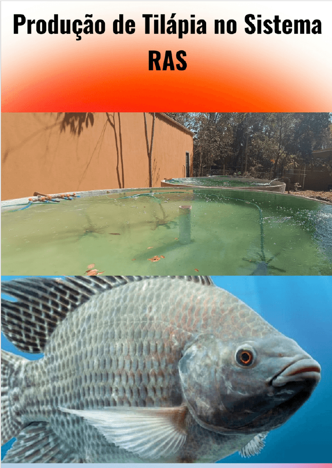 Produção de Tilápia no Sistema RAS - Igor Damacena | Hotmart