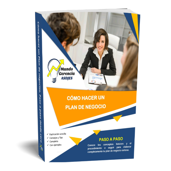 Ebook: Como hacer un Plan de Negocios. Paso a paso desde cero ...
