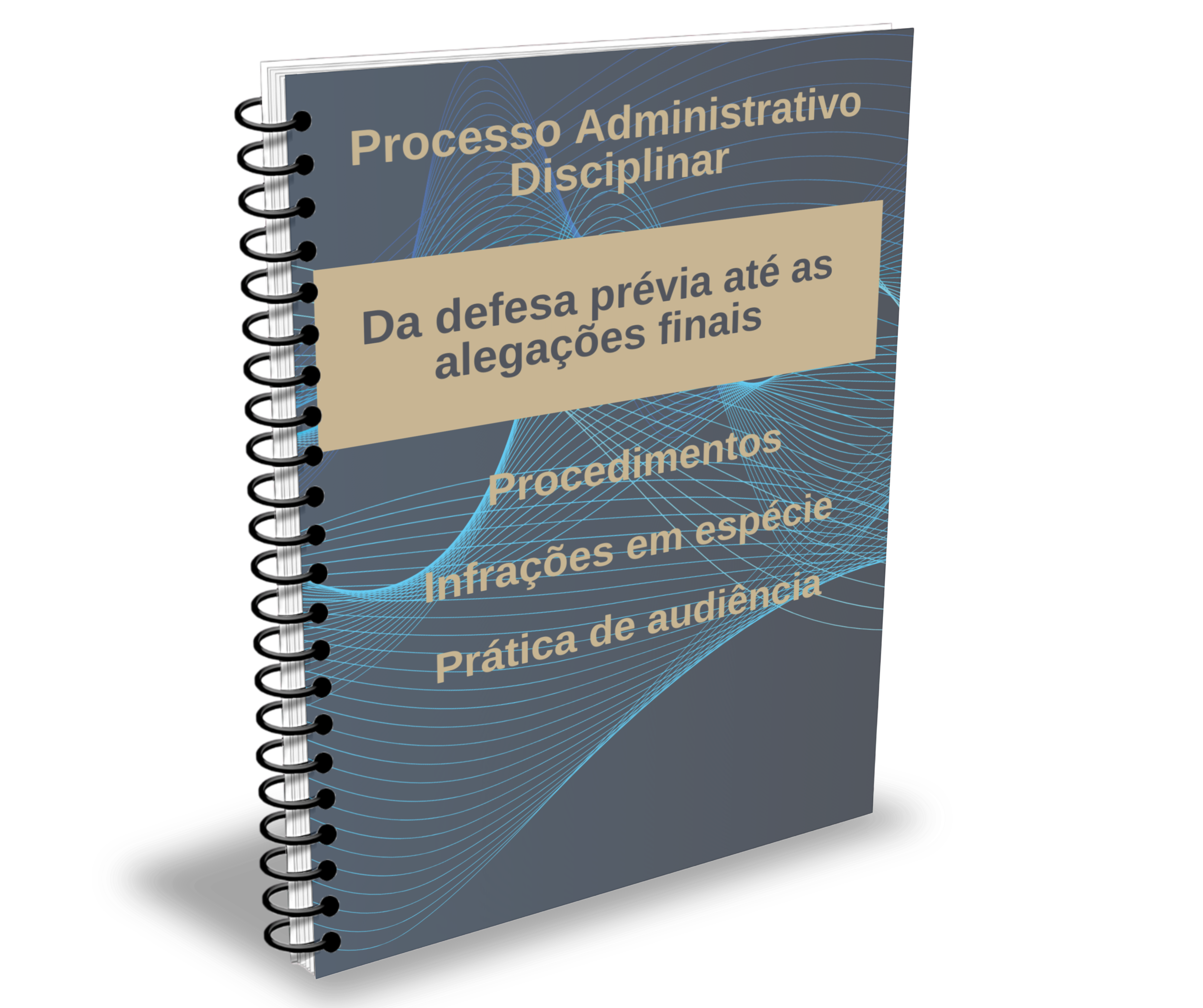 Prática de Processo Disciplinar. Treinamento Prático - Giovani Ces...
