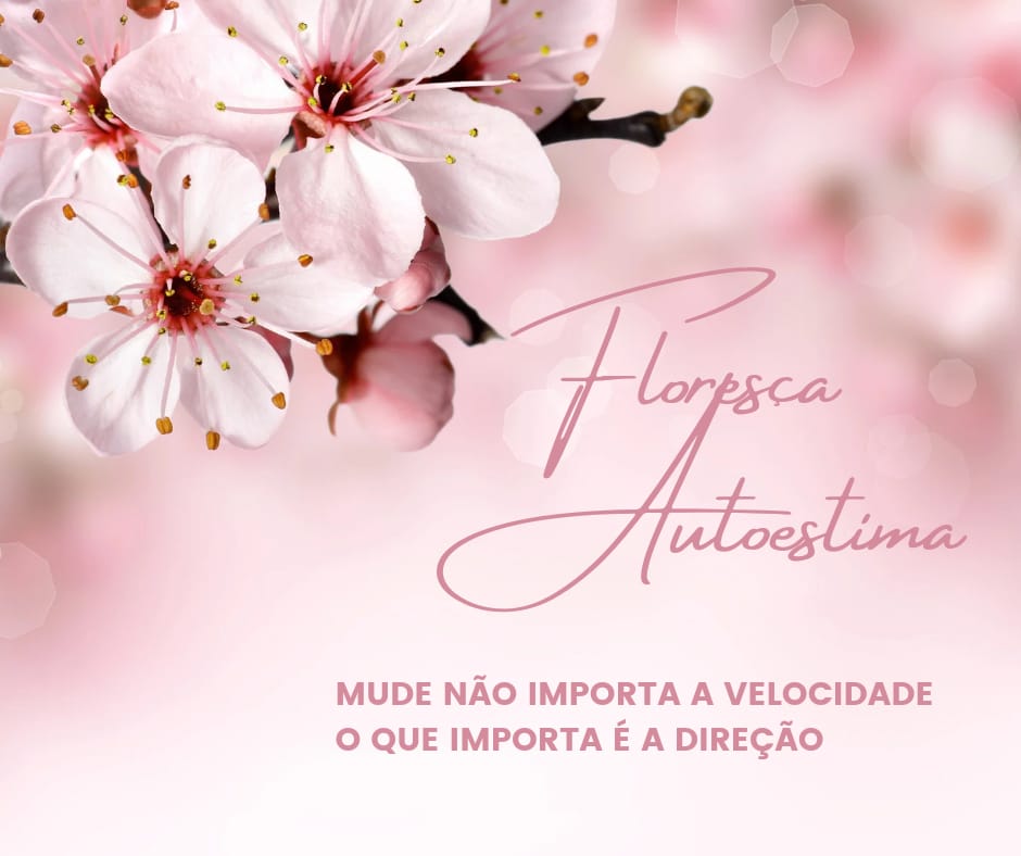 Mentoria de Mulheres - Silvana | Hotmart