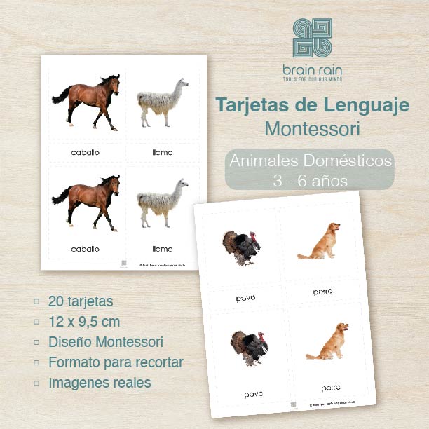 Tarjetas Montessori de Lenguaje – Animales Domésticos (3 - 6 años)