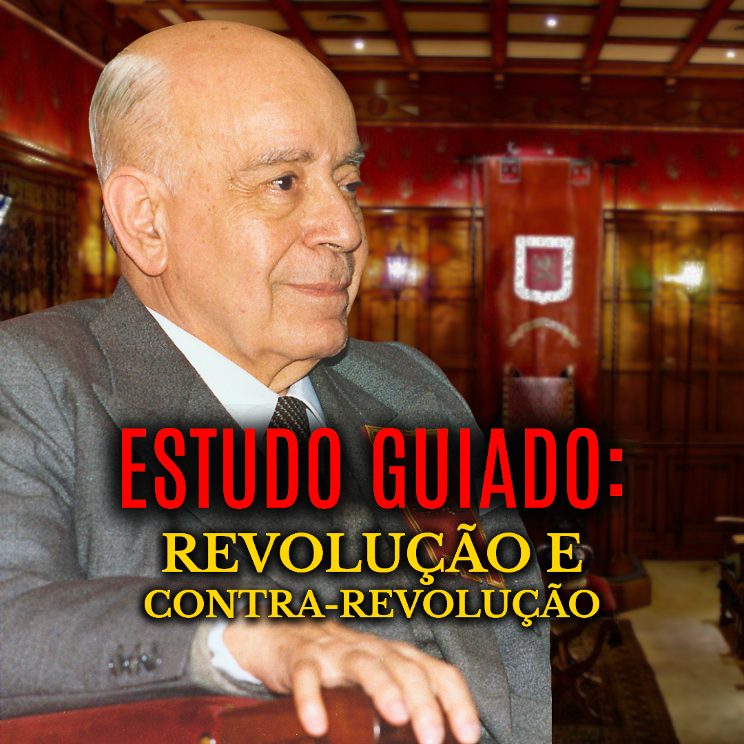 Estudo Guiado: Revolução e Contra-Revolução - Lorenzo Matheus da Pi...