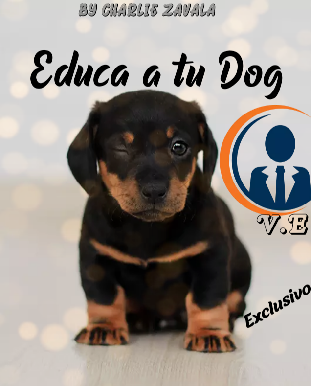 Educa a tu Dog