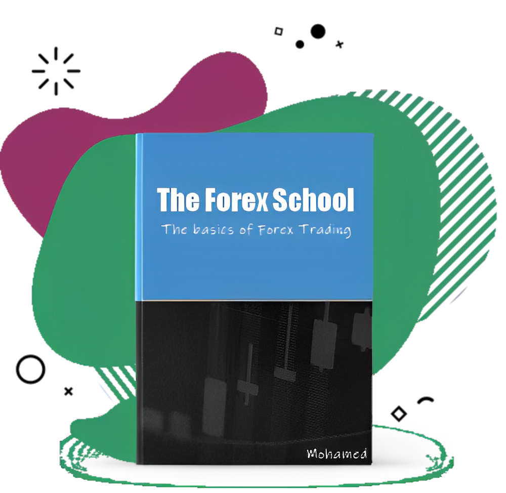The Forex School The basics of Forex Trading