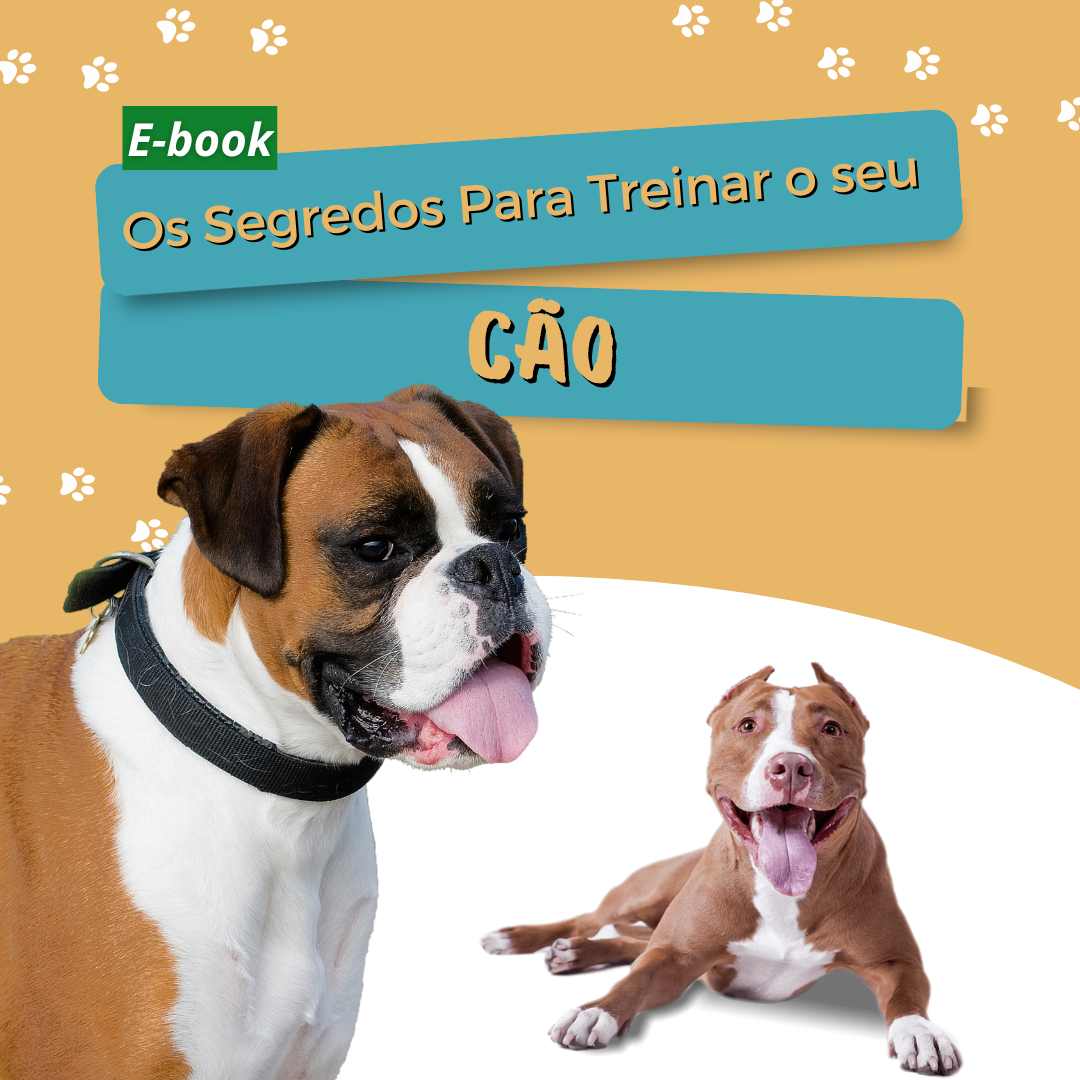 Os Segredos para Treinar o seu Cão - Lívia Osi | Hotmart