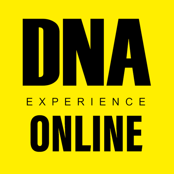 DNA Experience Online - DNA EXPERIENCE ONLINE | Hotmart