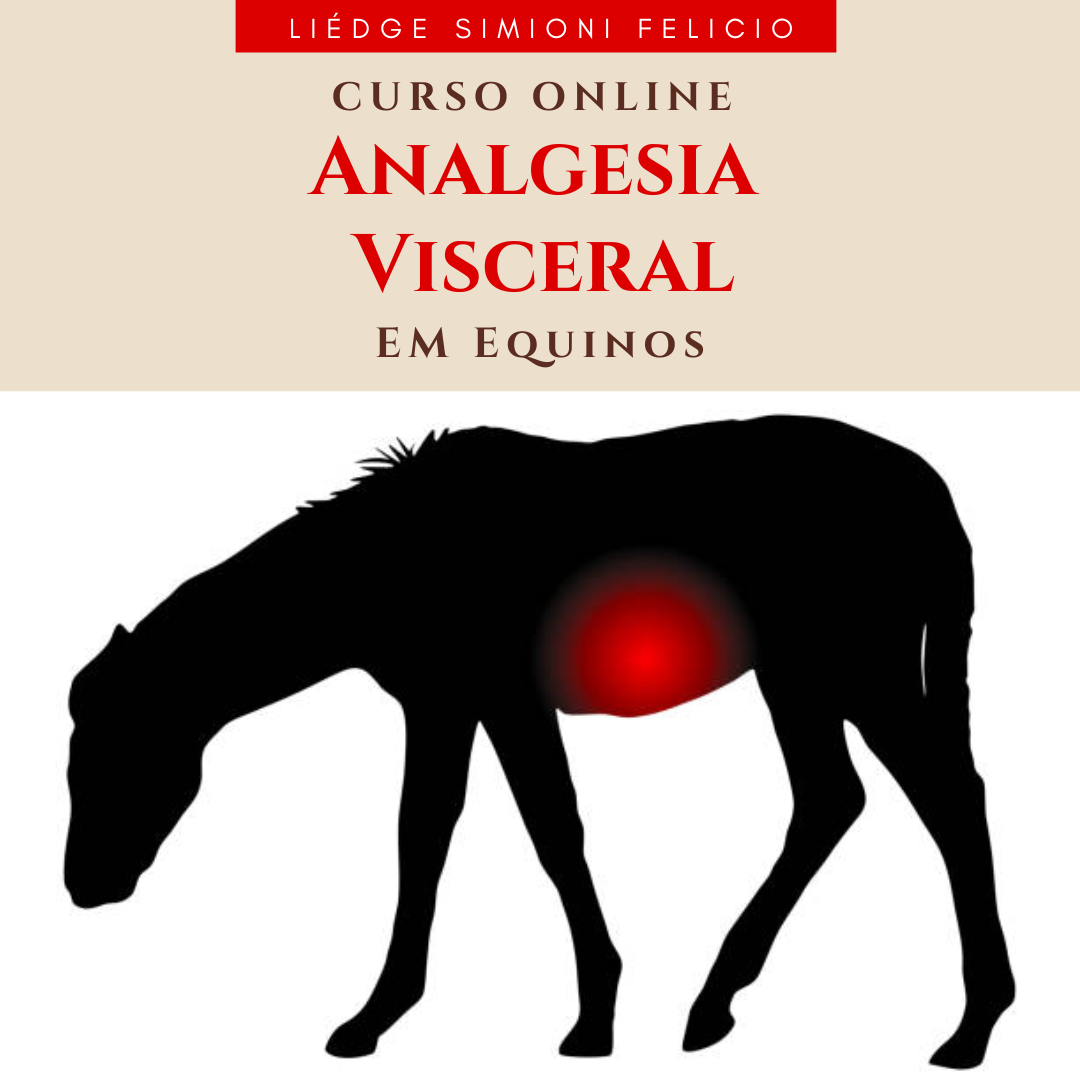 Analgesia Visceral em Equinos - Liedge Simioni | Hotmart