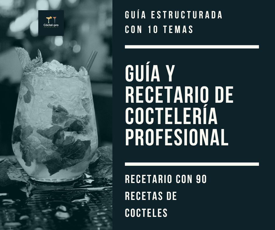 Guía y recetario de coctelería profesional - Edwin Ovando | Hotmart