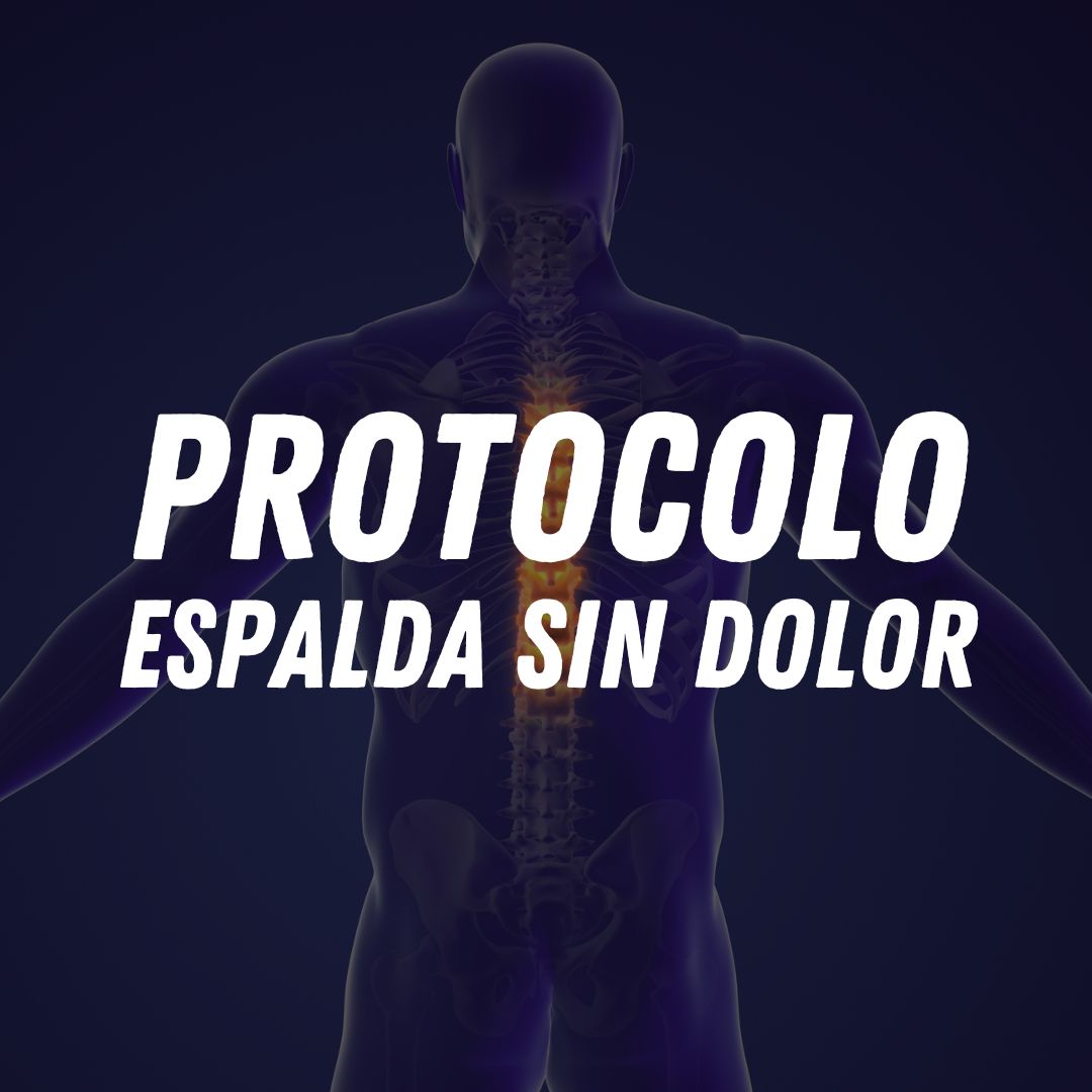Protocolo Espalda Sin Dolor - Sandra Restrepo | Hotmart