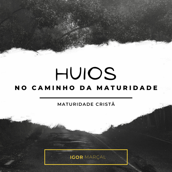 HUIOS - NO CAMINHO DA MATURIDADE ESPIRITUAL - IGOR MARCAL FERREIRA ...
