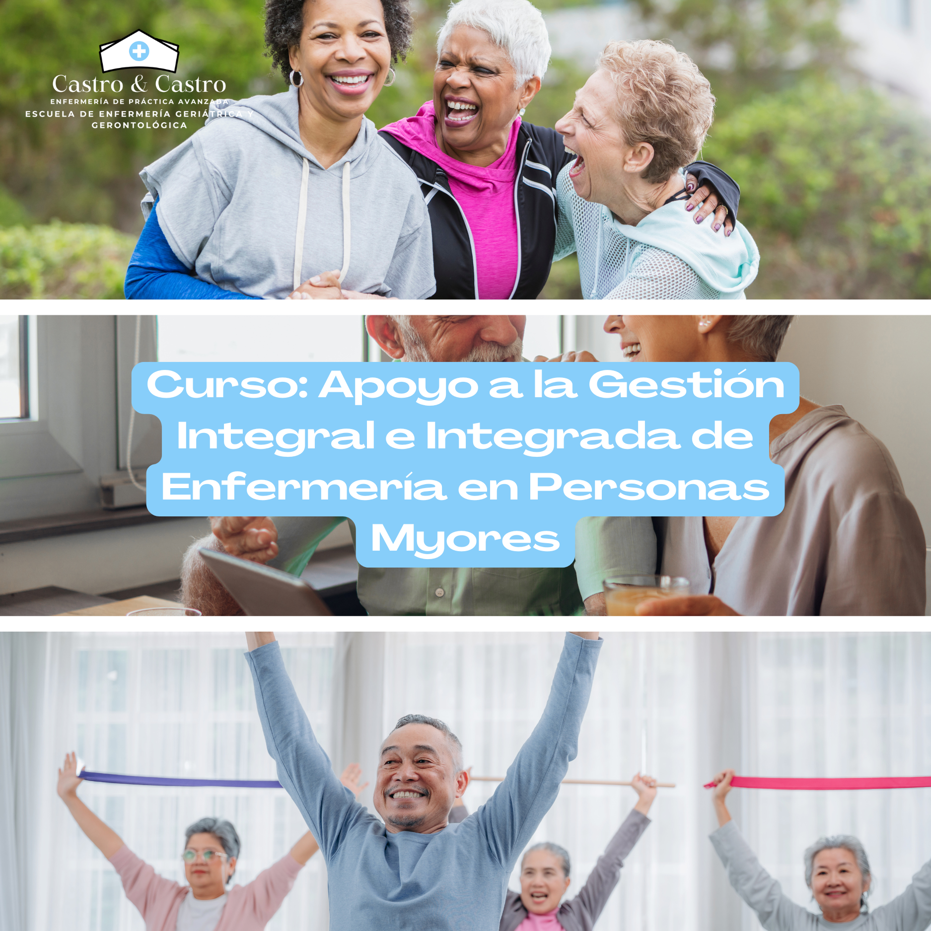 Curso: Apoyo a la Gestión Integral e Integrada de Enfermería en Per...