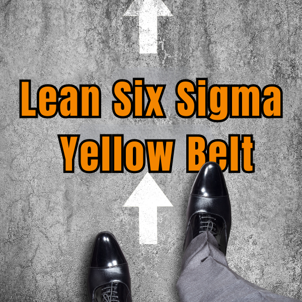 Lean Six Sigma Yellow Belt