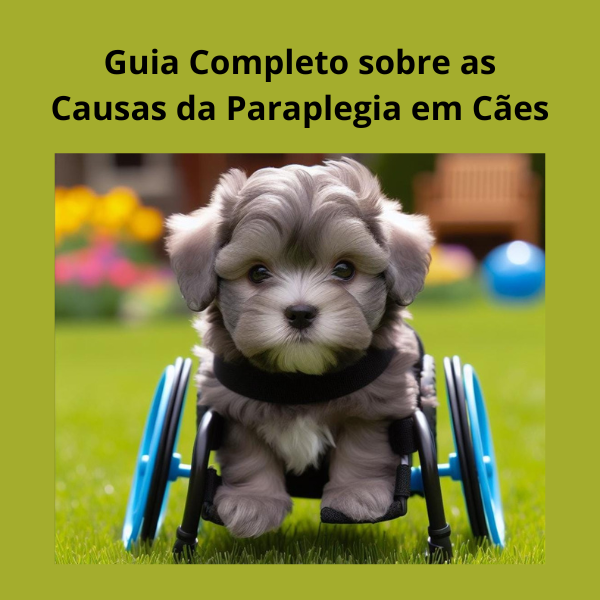 Guia Completo sobre as Causas da Paraplegia em Cães e Gatos - Ester...