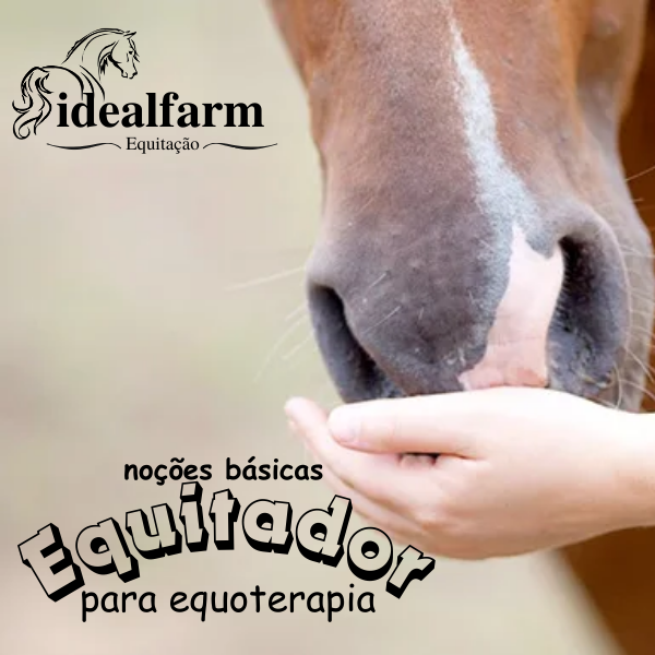 Noções Básicas de Equitador para Equoterapia - Idealfarm Brasil | H...