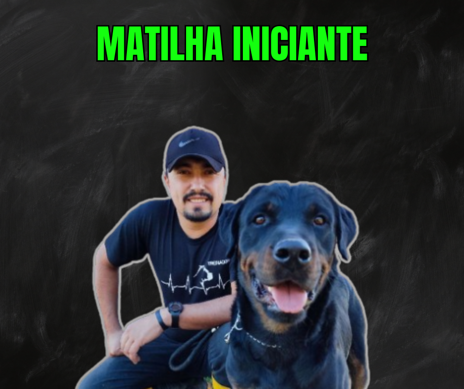 MATILHA INICIANTE - APROVADO | Hotmart