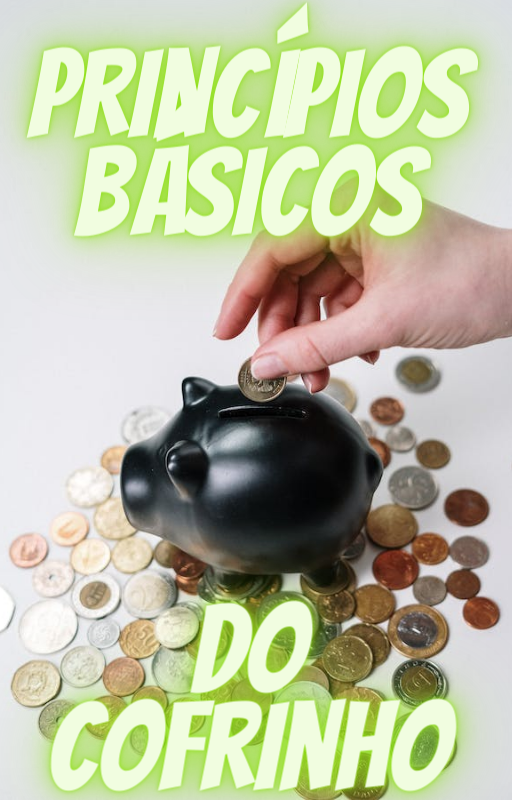 PRINCÍPIOS BÁSICOS DO COFRINHO - Hypernegócios digitais | Hotmart