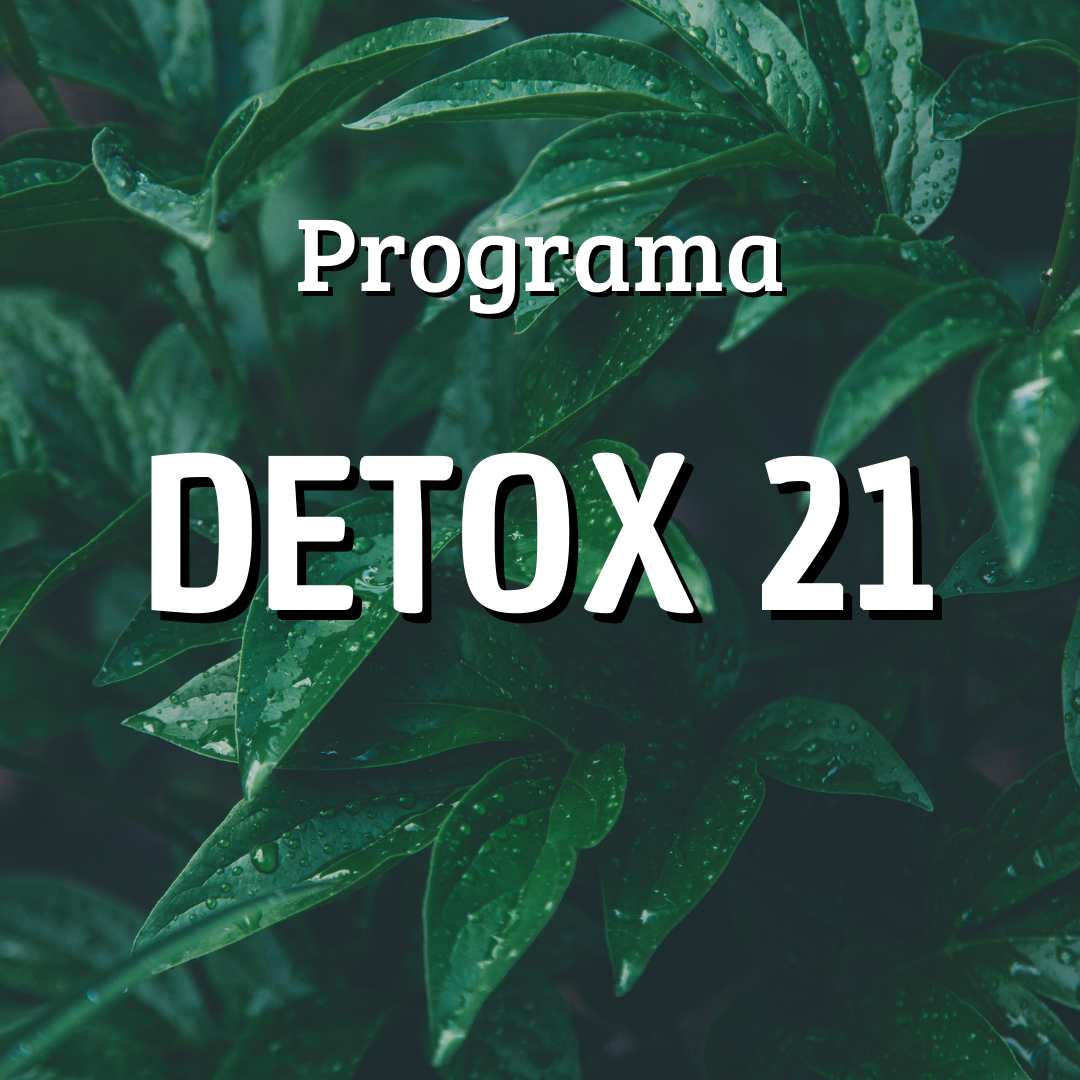 Programa Detox 21 - Gabriel Eduardo Maia Lello | Hotmart