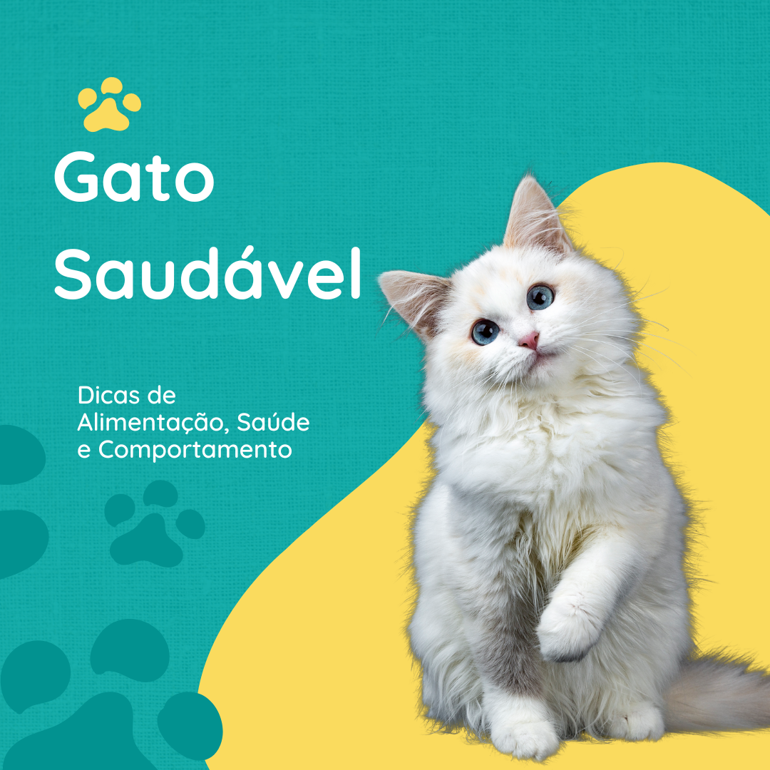 Gato Saudável: Dicas de Alimentação, Saúde e Comportamento - Humber...