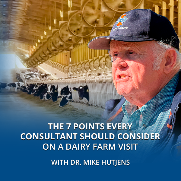 The 7 Points Every Consultant Should Consider on a Dairy Farm Visit ...
