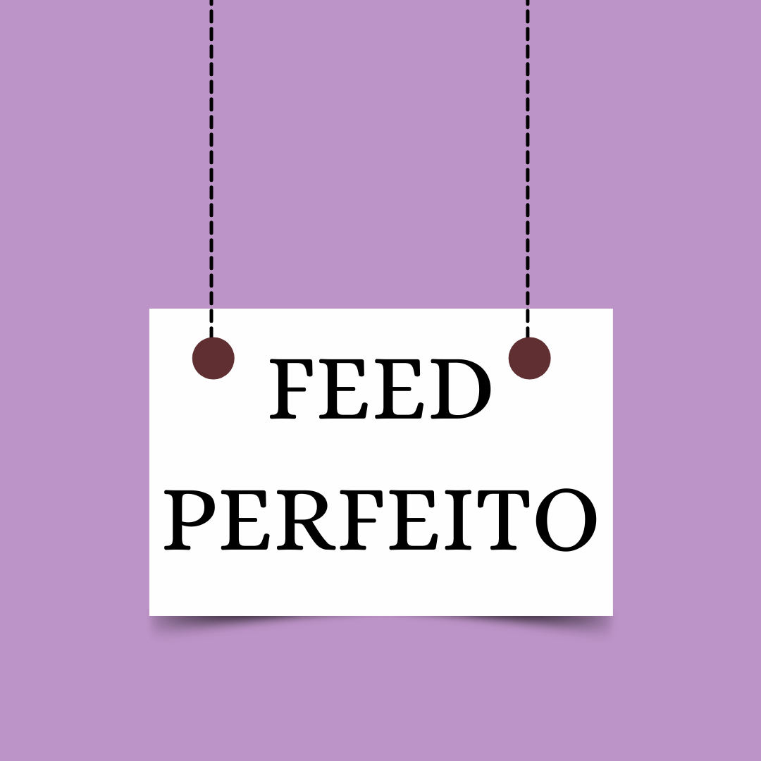 Feed Perfeito - Pack Canva