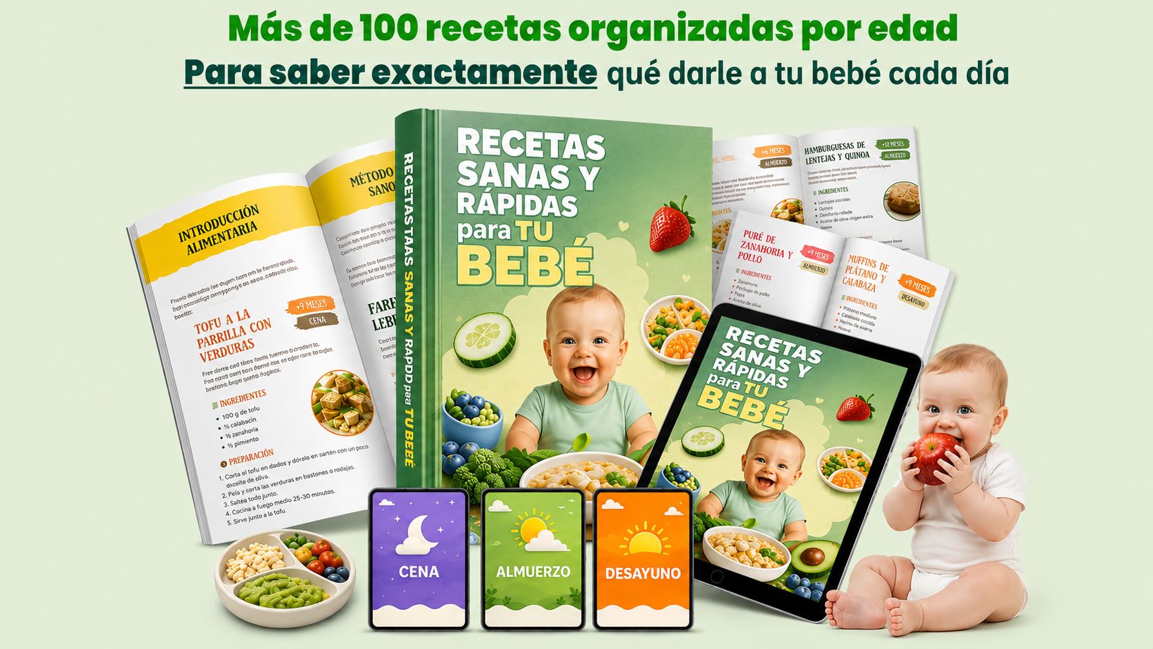 RECETAS SANAS para TU BEBÉ