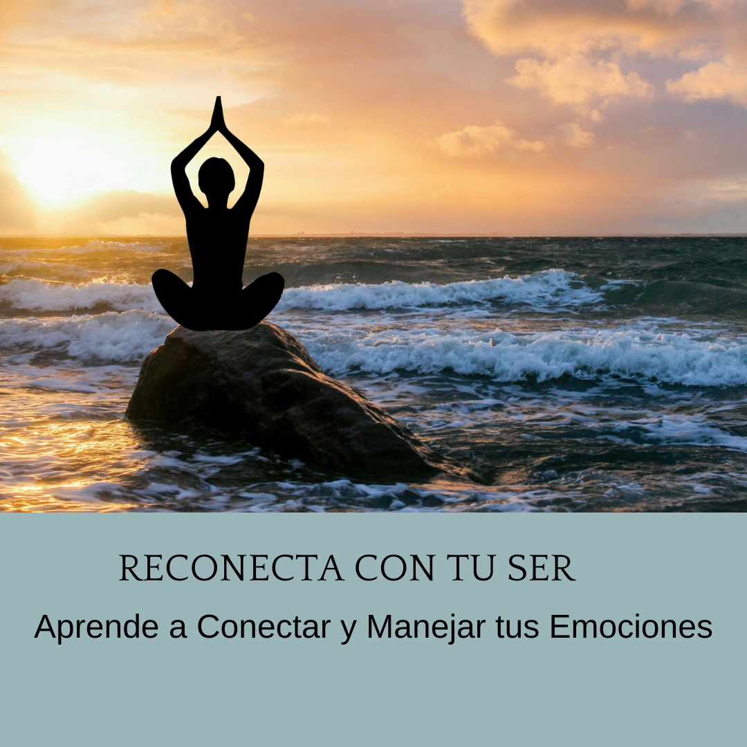 Reconecta con tu Ser - Paula Planas | Hotmart