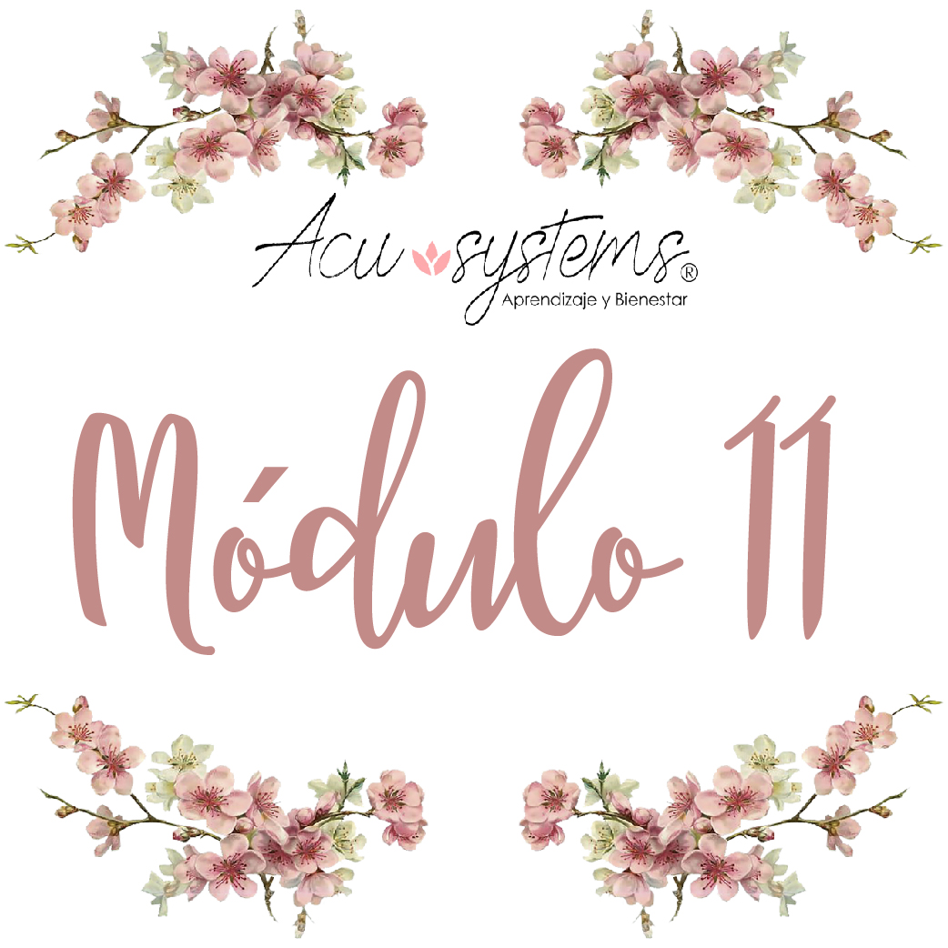 Auriculoterapia Módulo 11
