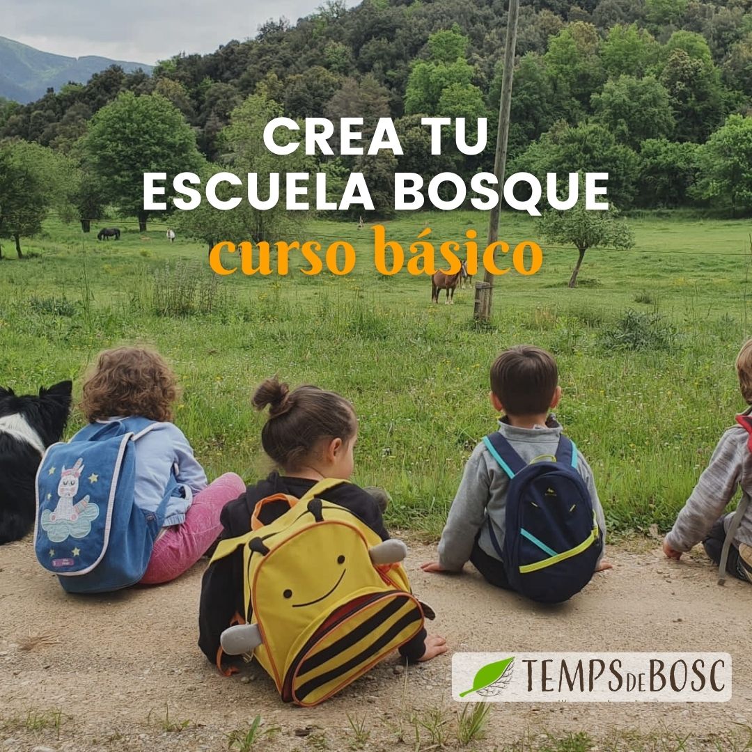 Curso básico Crea tu escuela bosque - Temps de Bosc | Hotmart