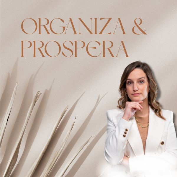 Organiza & Prospera - Ana Patricia Oliveira Gonçalves | Hotmart