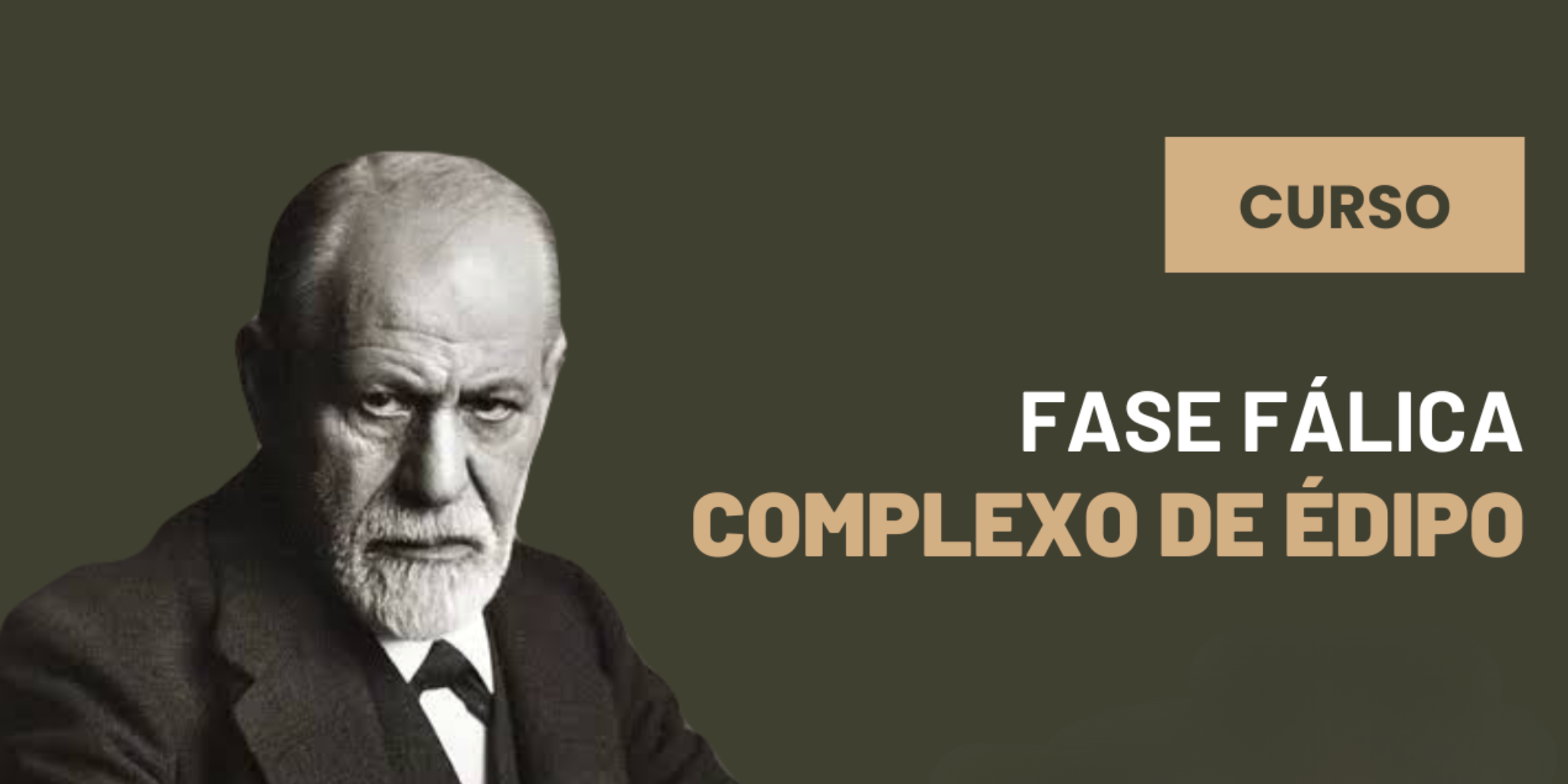 Fase Fálica e Complexo de Édipo: Uma Jornada pela Psicanálise de Fr...