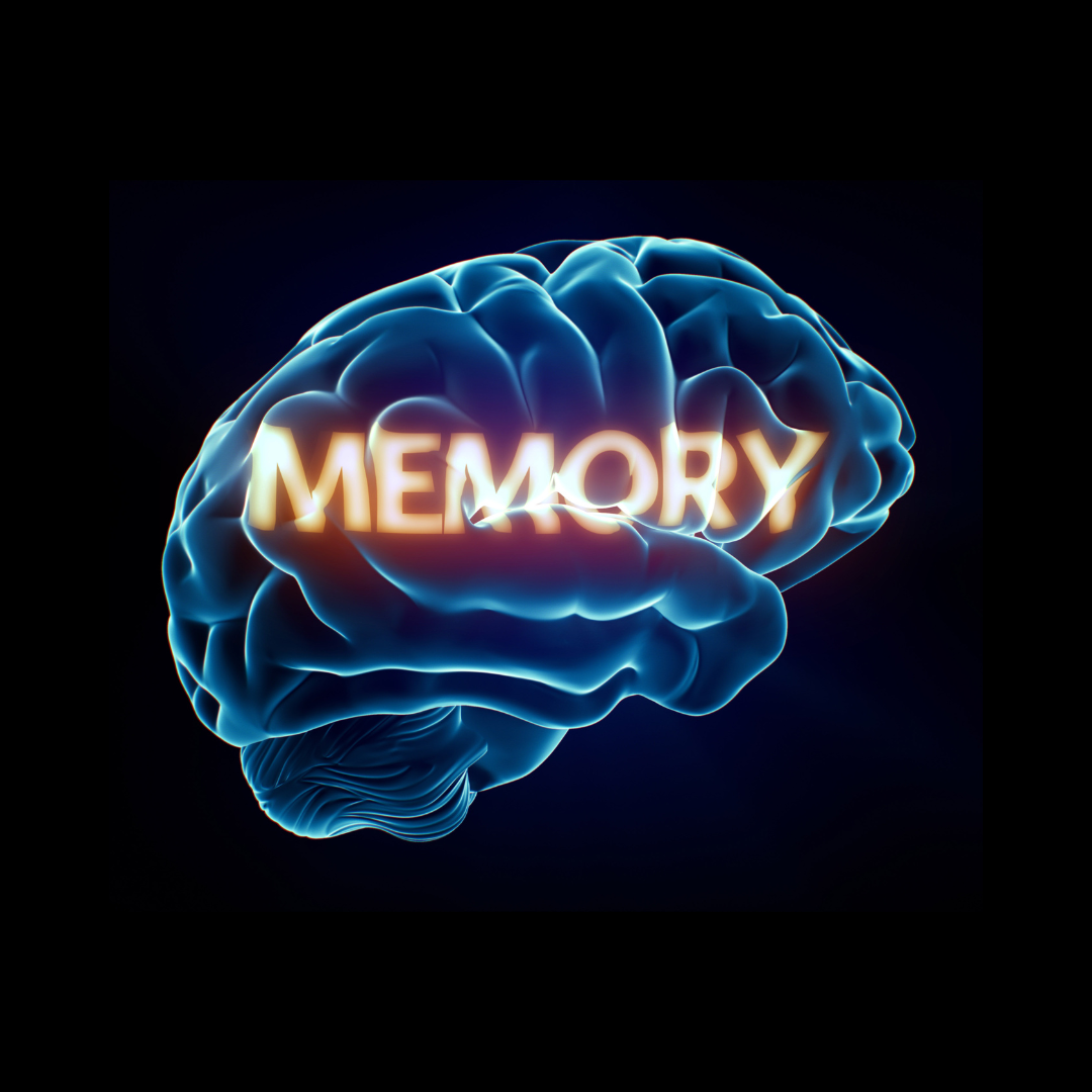 MEMORY PULSE PRO - Aline Santos | Hotmart