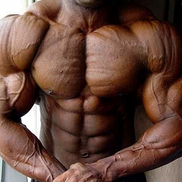 Técnicas de bodybuilding - José victor pasa | Hotmart