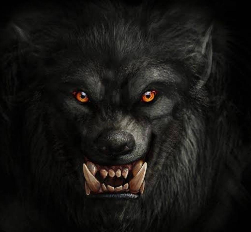 O lobisomem livro - Lk | Hotmart