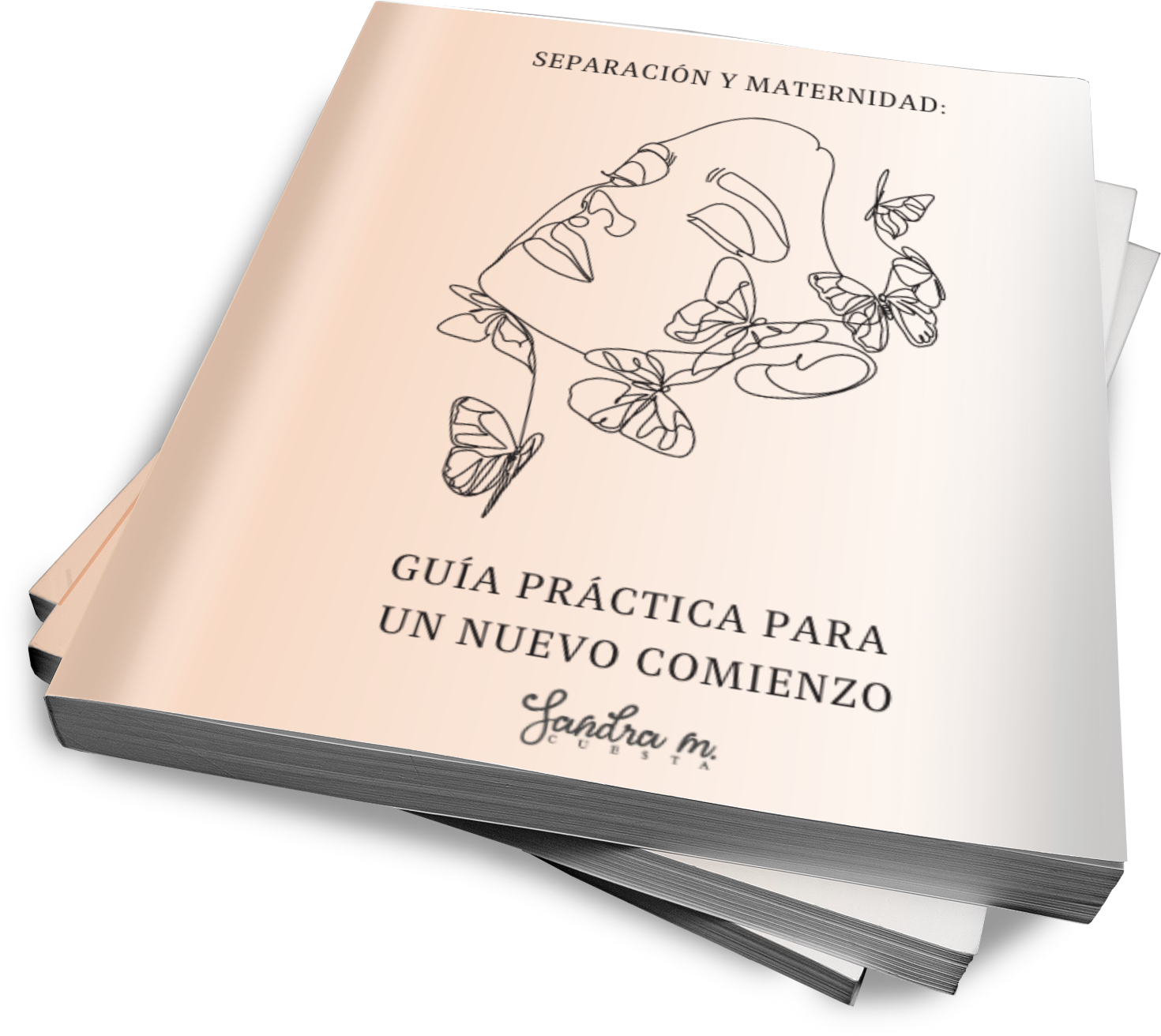 Separación y maternidad: Guía rápida para un nuevo comienzo - Sandr...