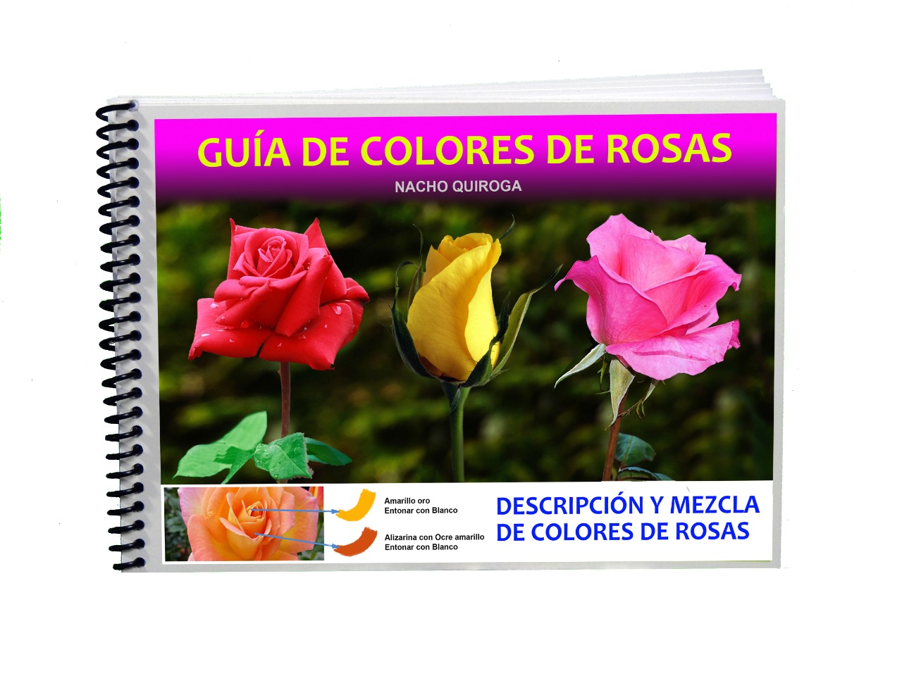 Guía de Colores para Pintar Rosas de Nacho Quiroga - Nacho Quiroga ...