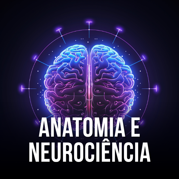 Minicurso: Anatomia e Neurociência - INSTITUTO DE NEUROCIÊNCIAS INT...