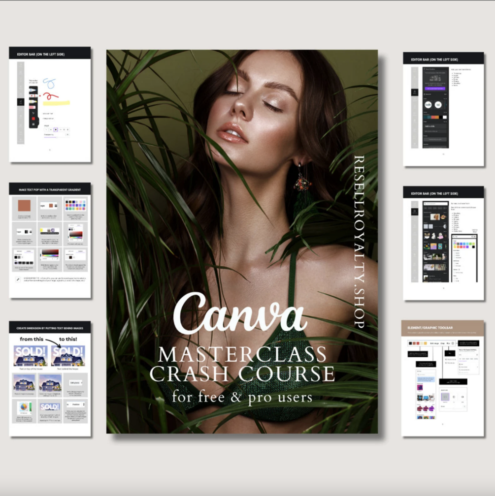 Canva Masterclass crash course 80% Off