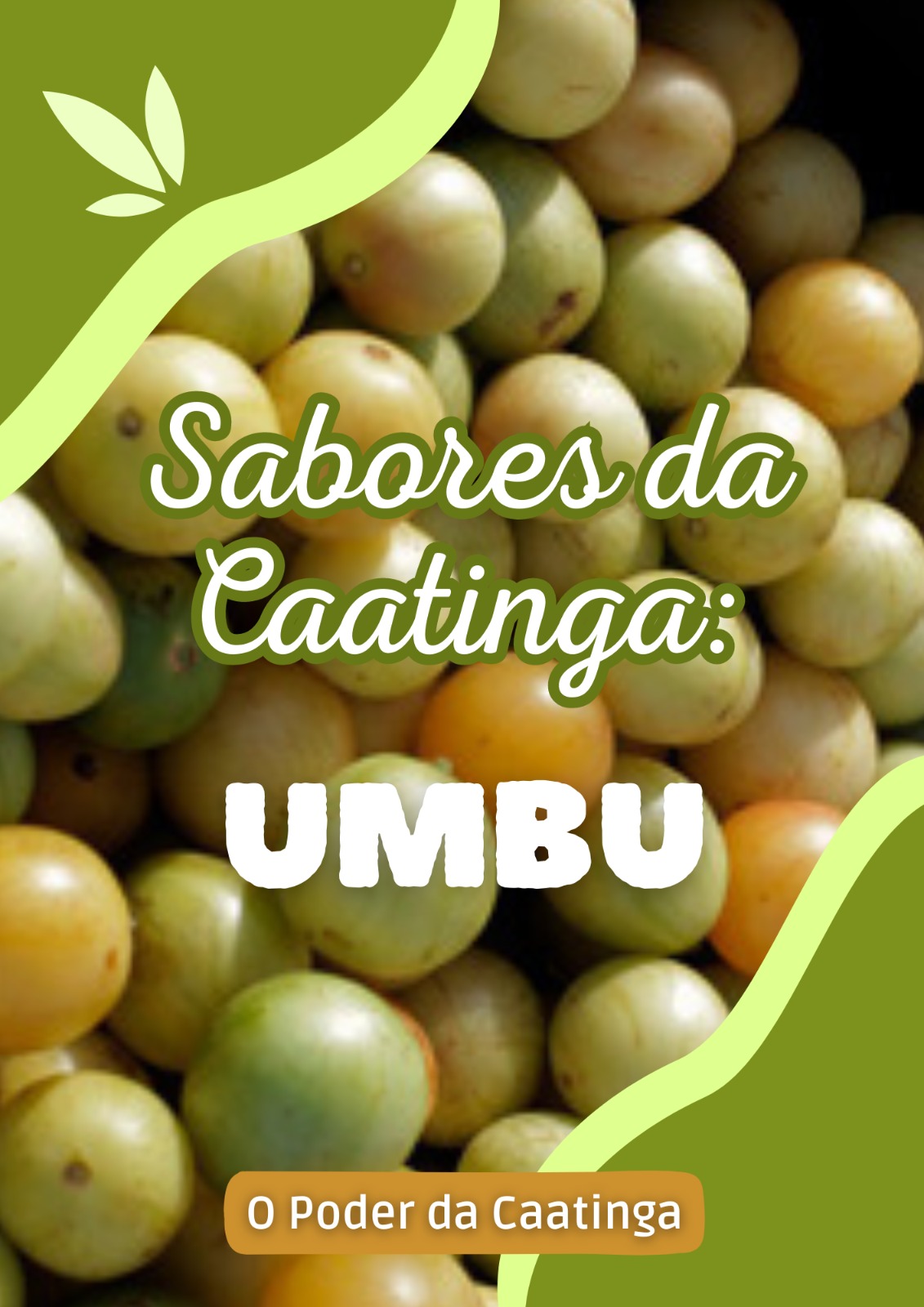 Sabores da Caatinga : Umbu - JOSEFINA GOMES DE BARROS | Hotmart