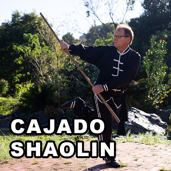 Kung Fu Weapon-"Yin Hand Staff" -陰手棒 Yām Sáu Páahng / Yīnshǒubàng