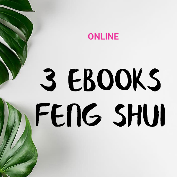 Pack ebooks + Masterclass Abundancia