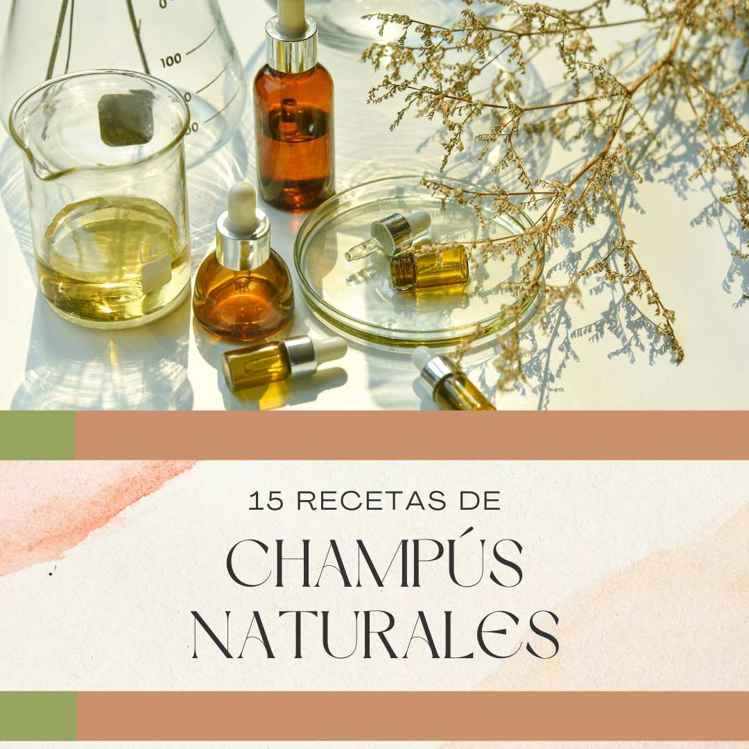 15 Recetas de Champús Naturales - Cecilia María Pérez Chavarría | H...