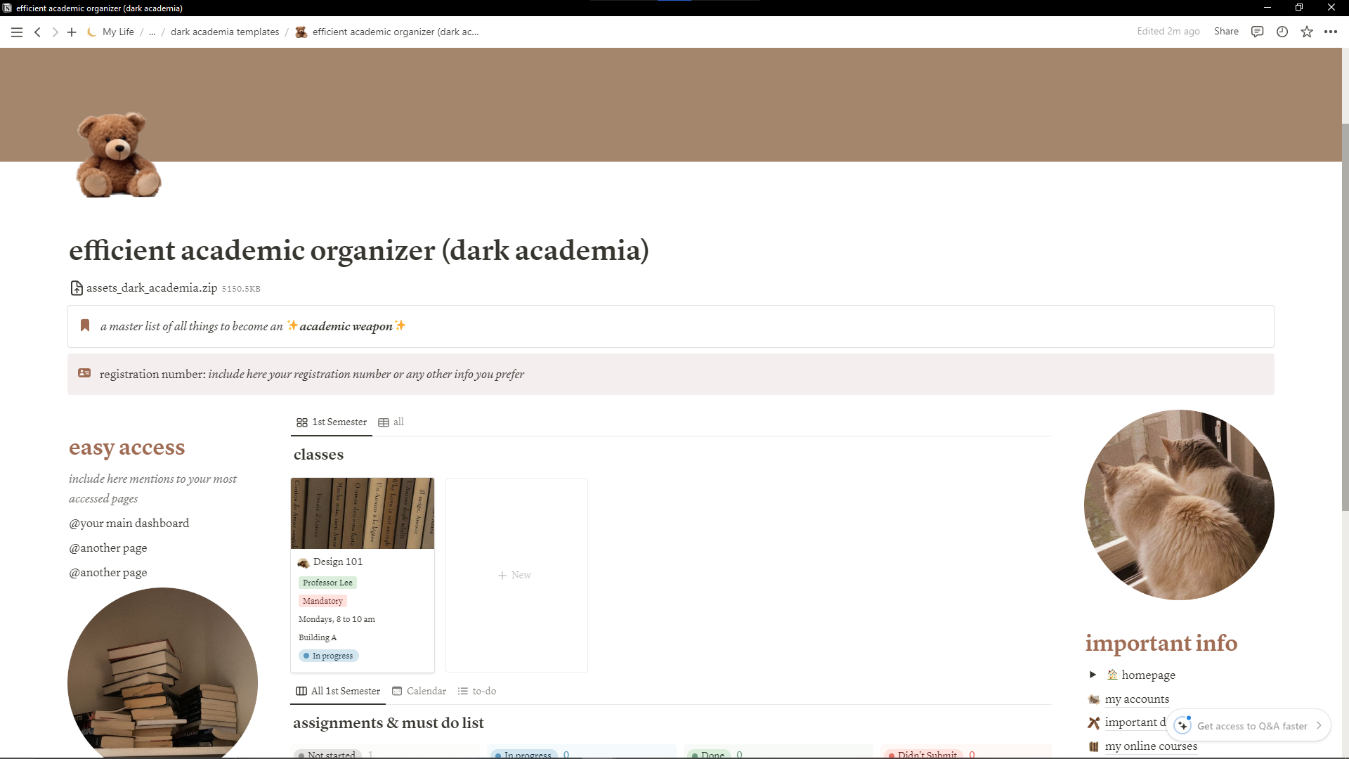 Notion Academic Organizer - Geral (Dark Academia)