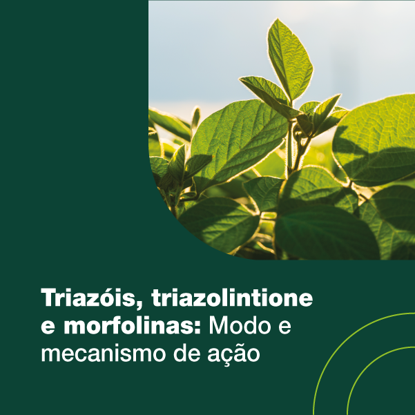 Triazóis, triazolintione e morfolinas: modo e mecanismo de ação