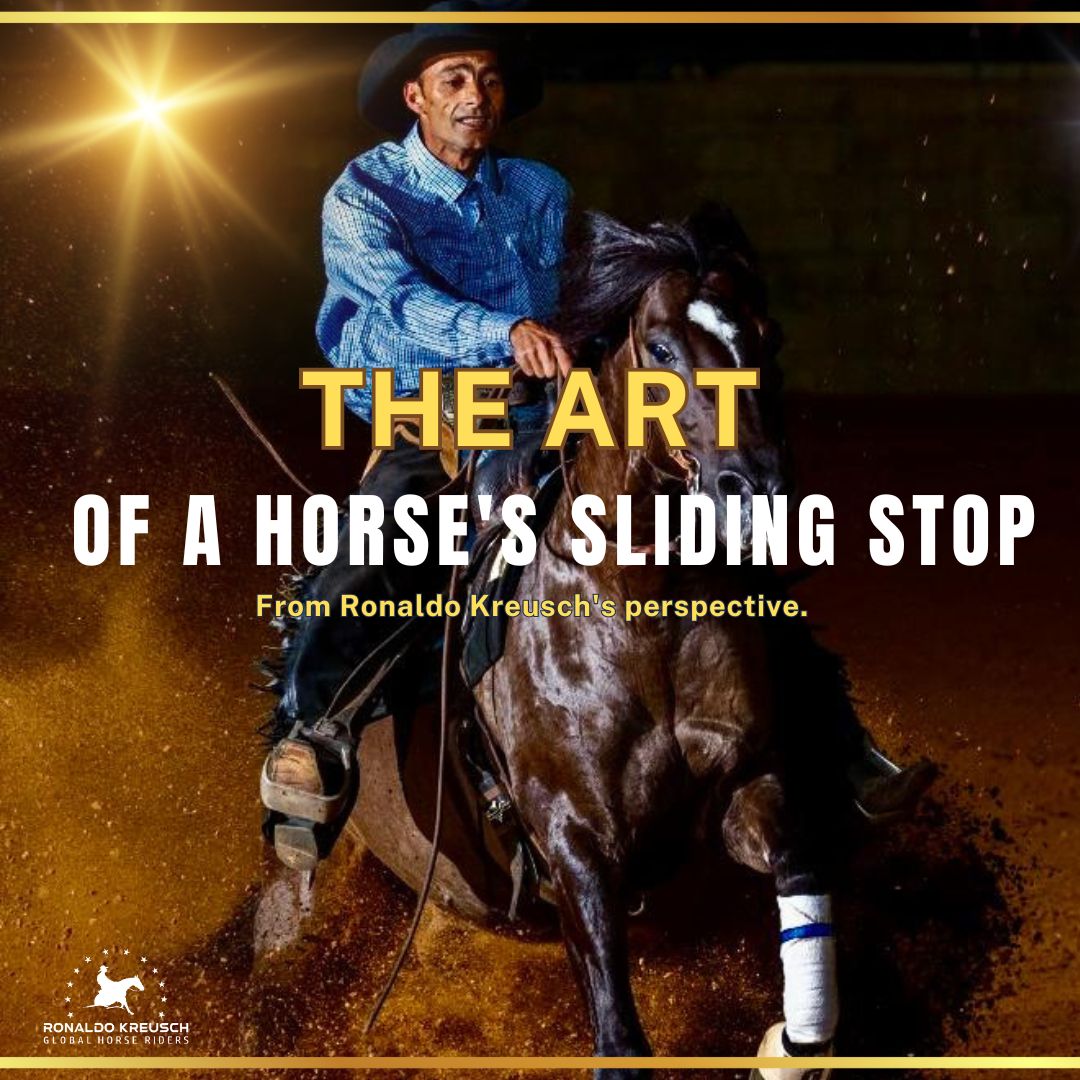 The Art of a Horse's Sliding Stop