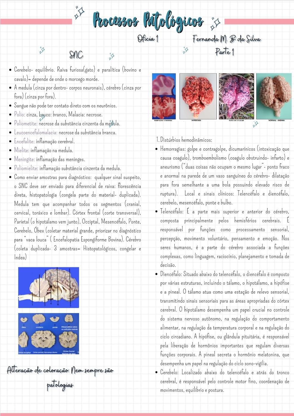 RESUMO PROCESSOS PATOLÓGICOS PARTE 1